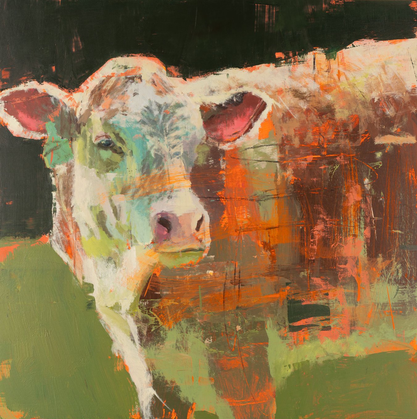 Animals – Teil Duncan